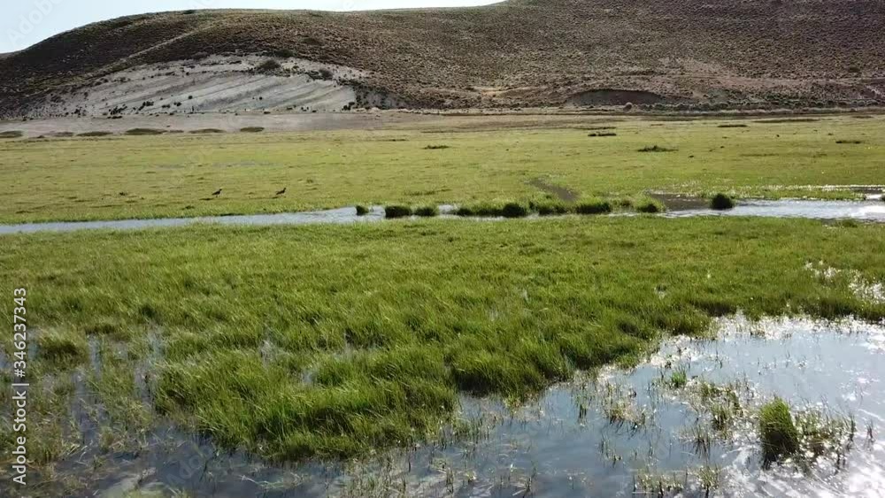 Dynamic Aerial View of Wetland Valley With Birds in Patagonia ...