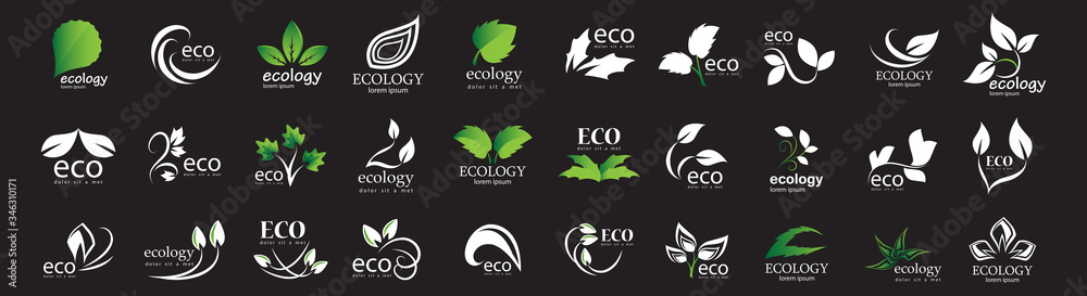 Collection Of Eco And Organic Logo Set - Isolated On Black Background ...