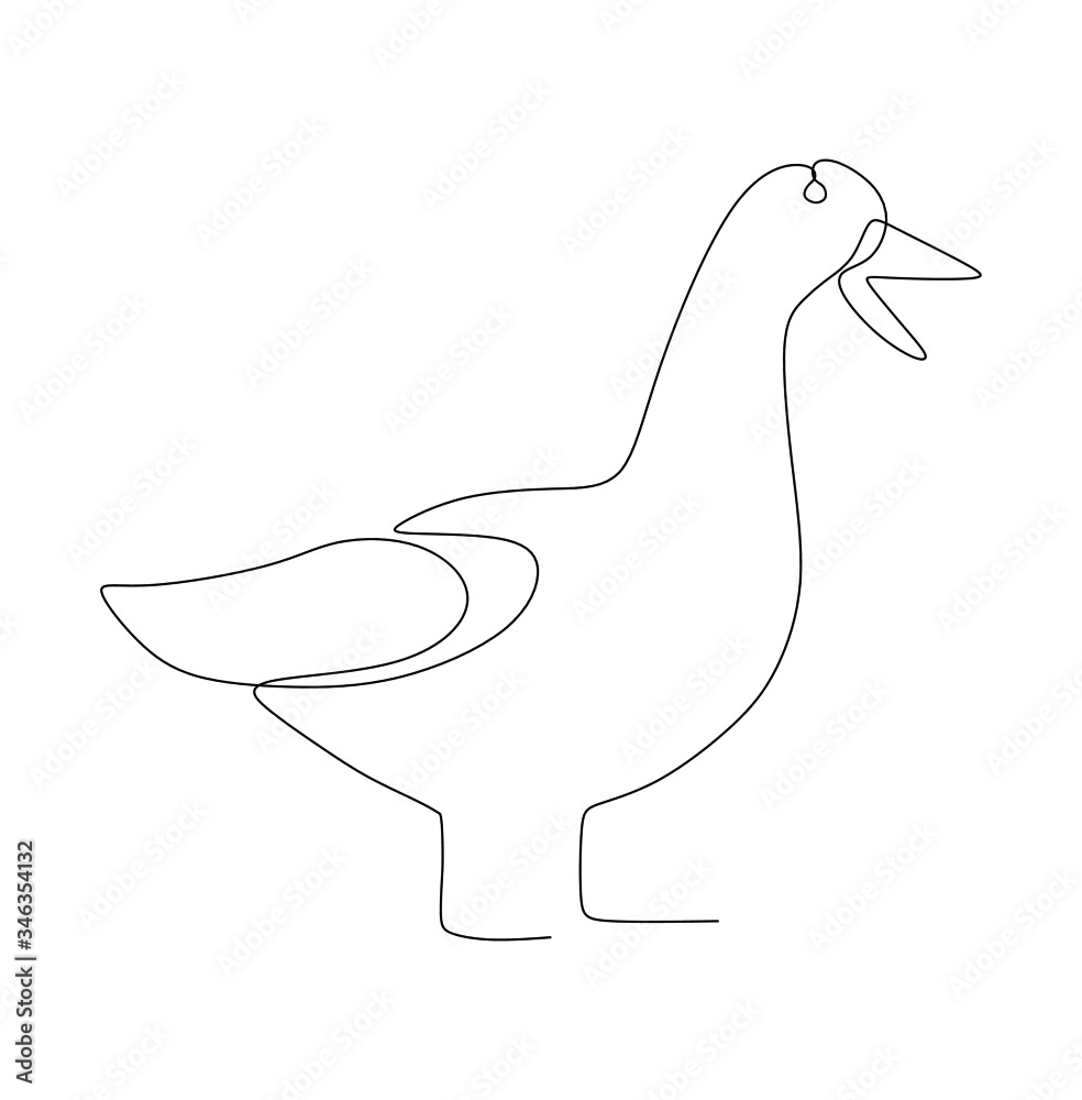 Continuous single line drawing vector illustration of a duck Stock ...