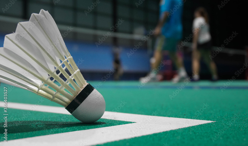 The shuttlecock will float before reaching the line. On the badminton ...