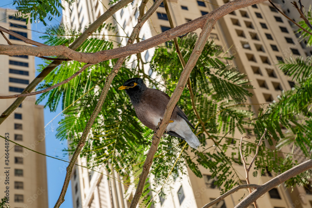 travel, walk, rest, city, city, landscape, street, skyscraper, walk ...