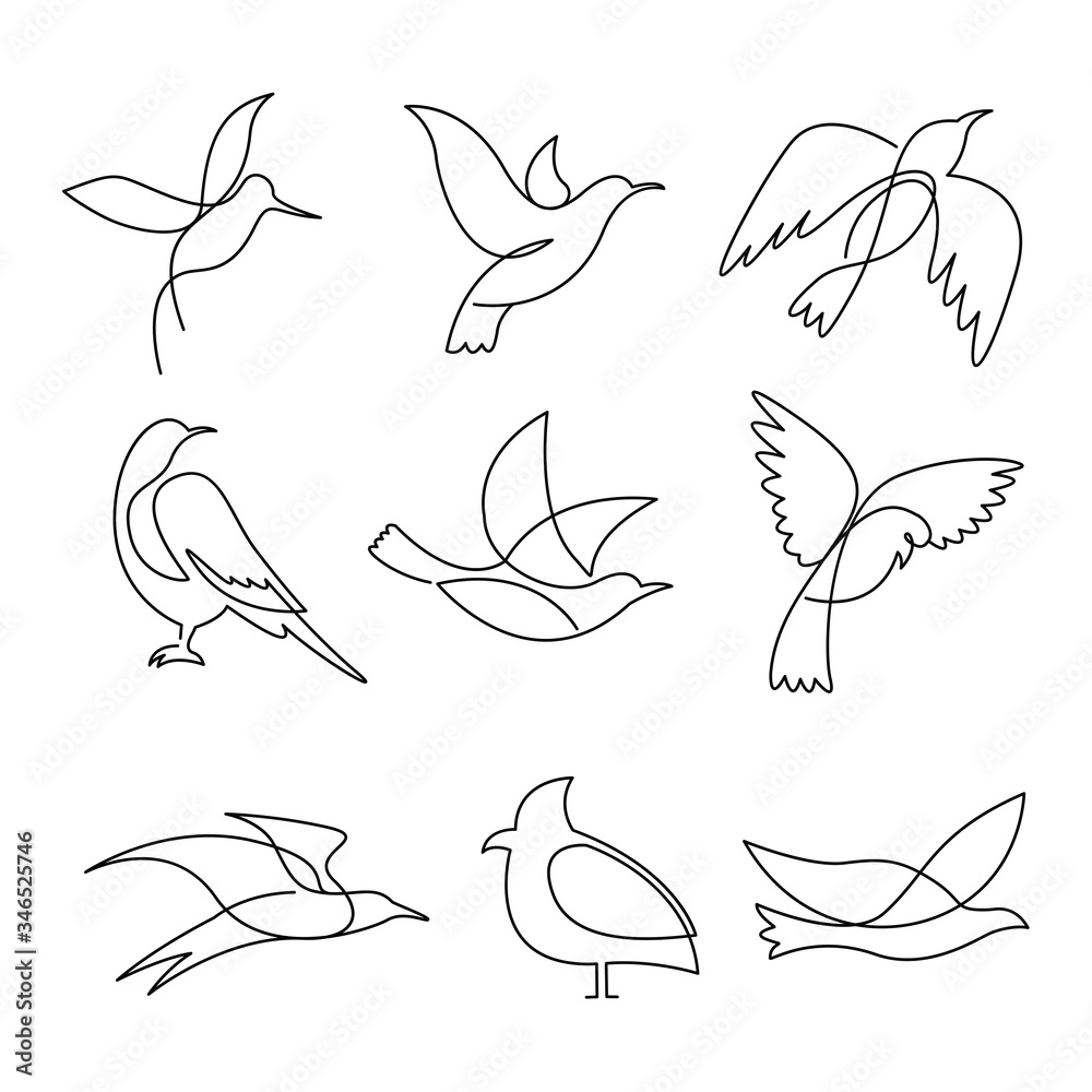 Birds continuous line drawing elements set. Stock Vector | Adobe Stock