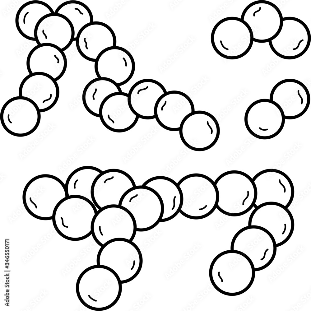 Cocci bacteria Stock Vector | Adobe Stock