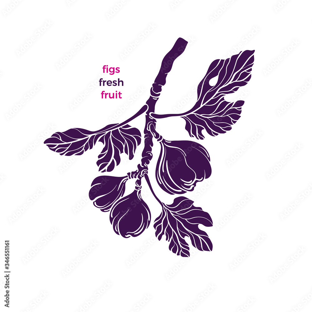 Figs symbol. Vector tree, texture fruit. Isolate Stock Vector | Adobe Stock