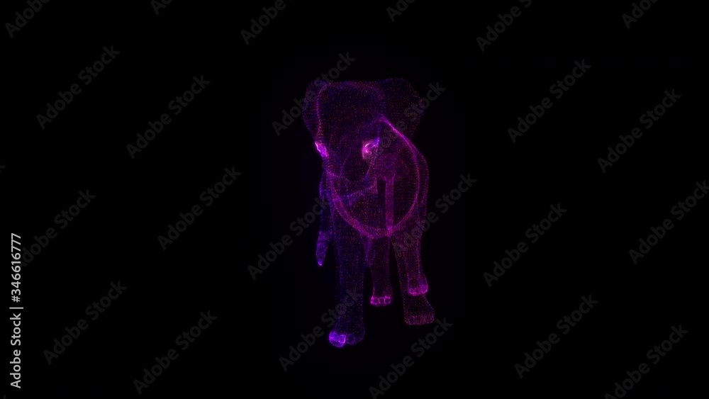 Elephant RGB Hologram Wireframe. Nice 3D Animation on a black ...