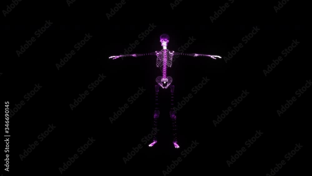 RGB Skeleton Hologram Wireframe. Nice 3D Animation on a black ...