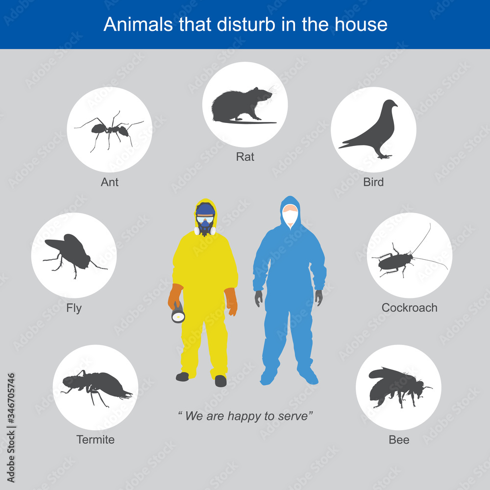 Animals that disturb in the house. Humans wearing Personal Protective ...