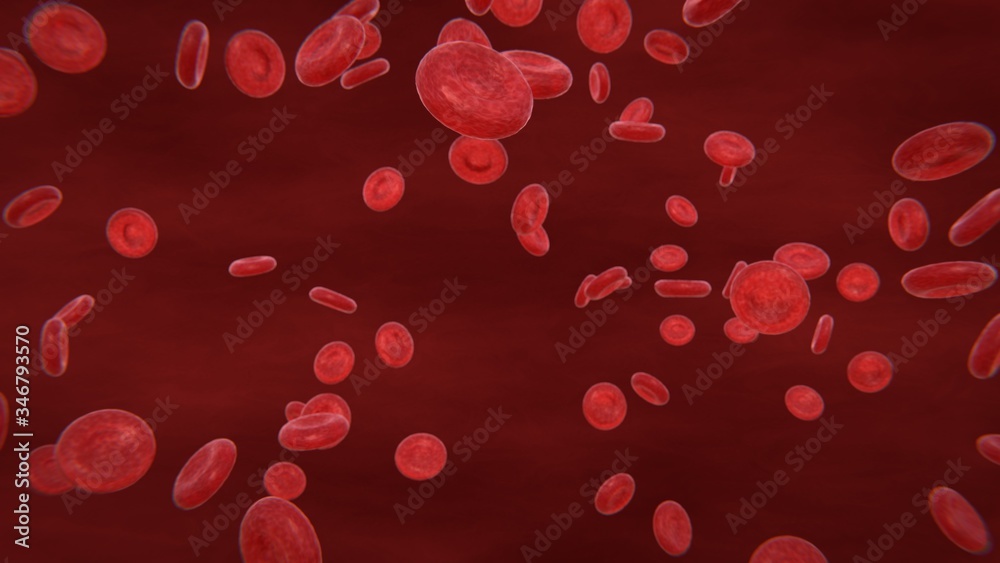 3d illustration blood structure. red blood cell, erythrocytes and ...
