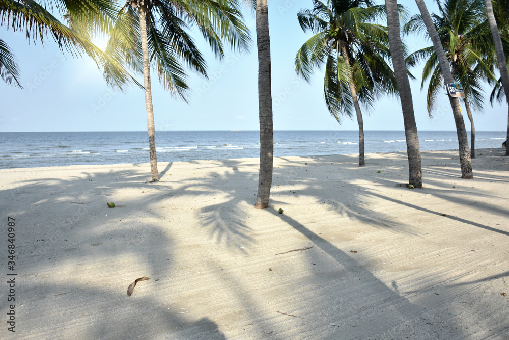 Beautiful nature with shadow of tree shining down on beach in morning ...