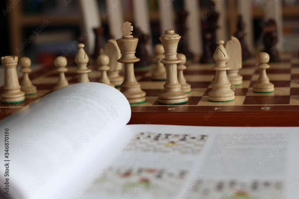 Learning to play chess on the book. Dreaming of stay the world chess ...