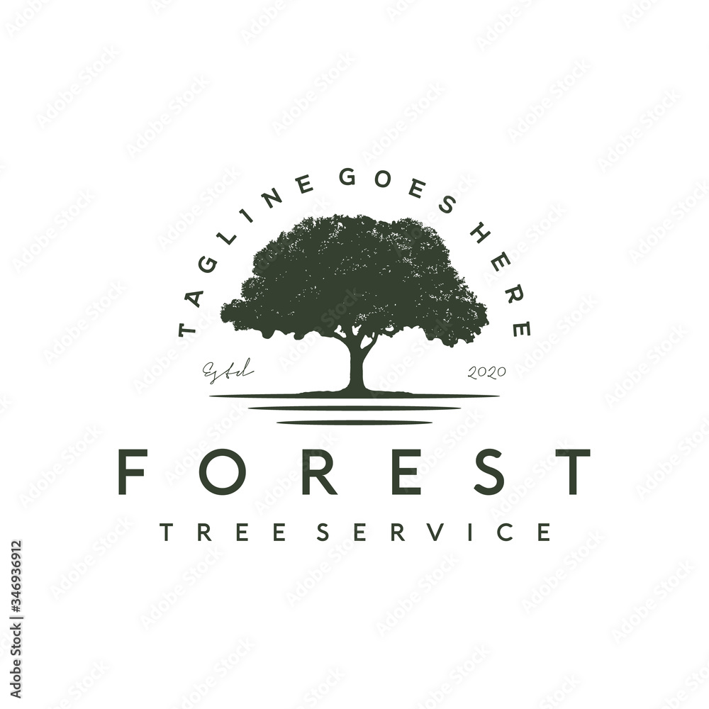Banyan tree logo for Tree service / residential landscape vintage logo ...