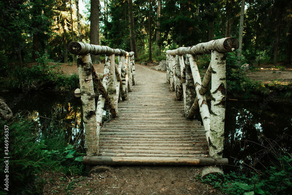a bridge of tree logs located in the forest, in fine weather there are ...