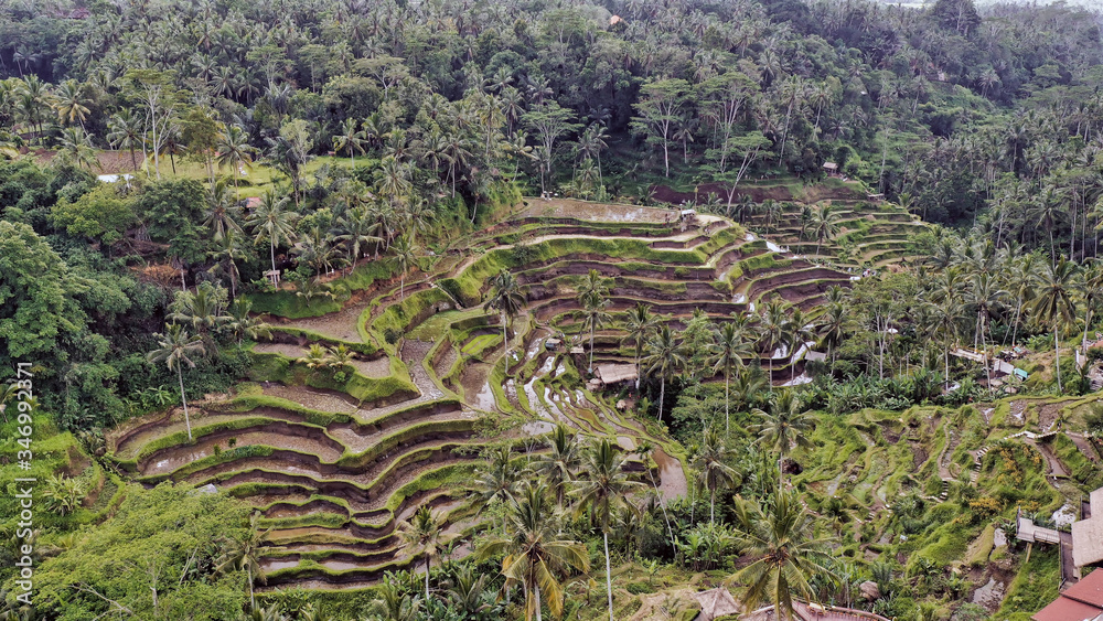 rice terraces - located on vertical terraces of rice fields, mainly in ...