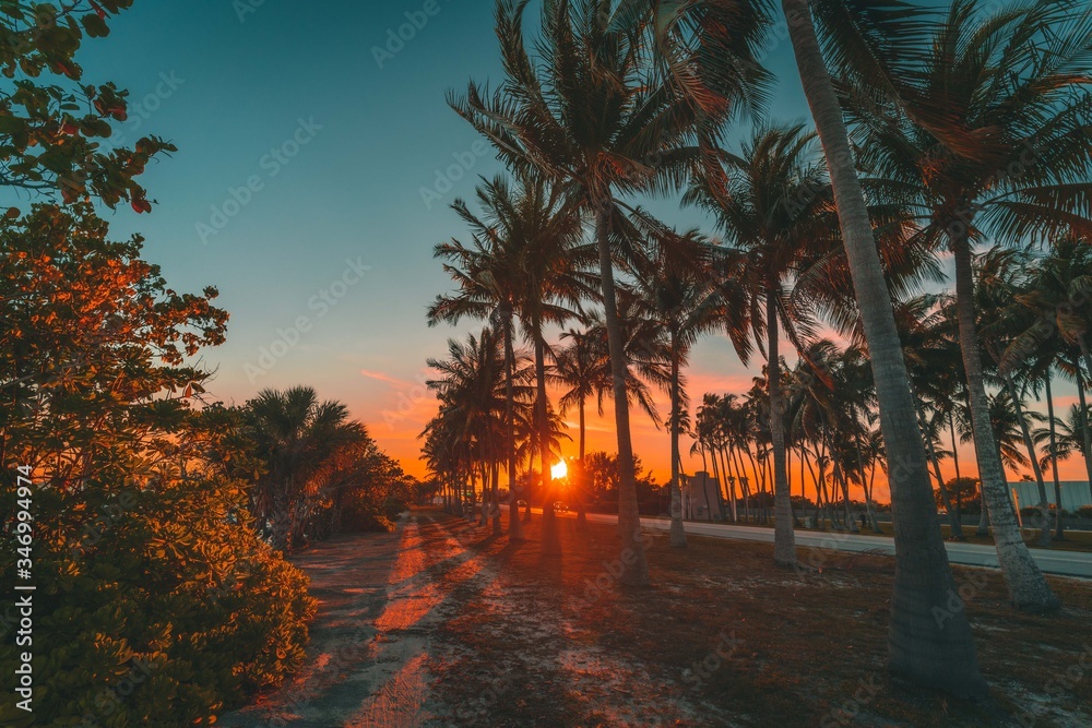beautiful sunset impressions palm path tropical sky sun sunrise island ...