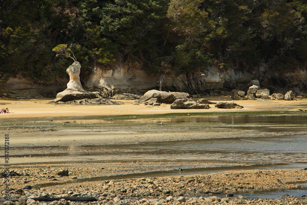 Coast in Apple Tree Bay at Coastal track near Marahau,Tasman Bay in ...