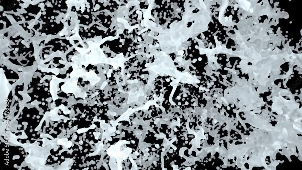 Abstract white milk liquid explosion with alpha matte channel. Slow ...