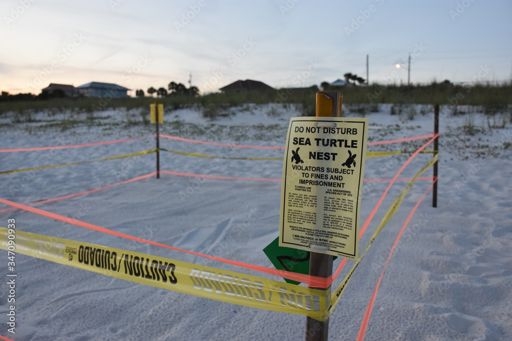 Do Not Disturb Sign guarding a Sea Turtle Nest on a Beach Stock Photo ...