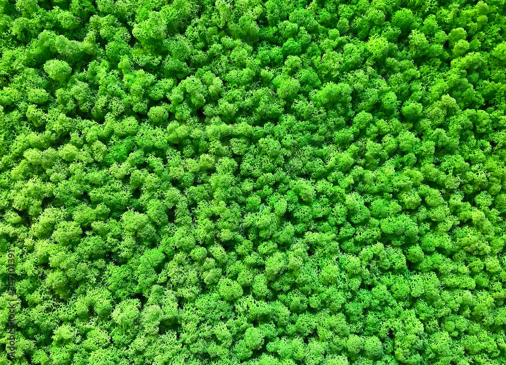 Office Wall Texture Design