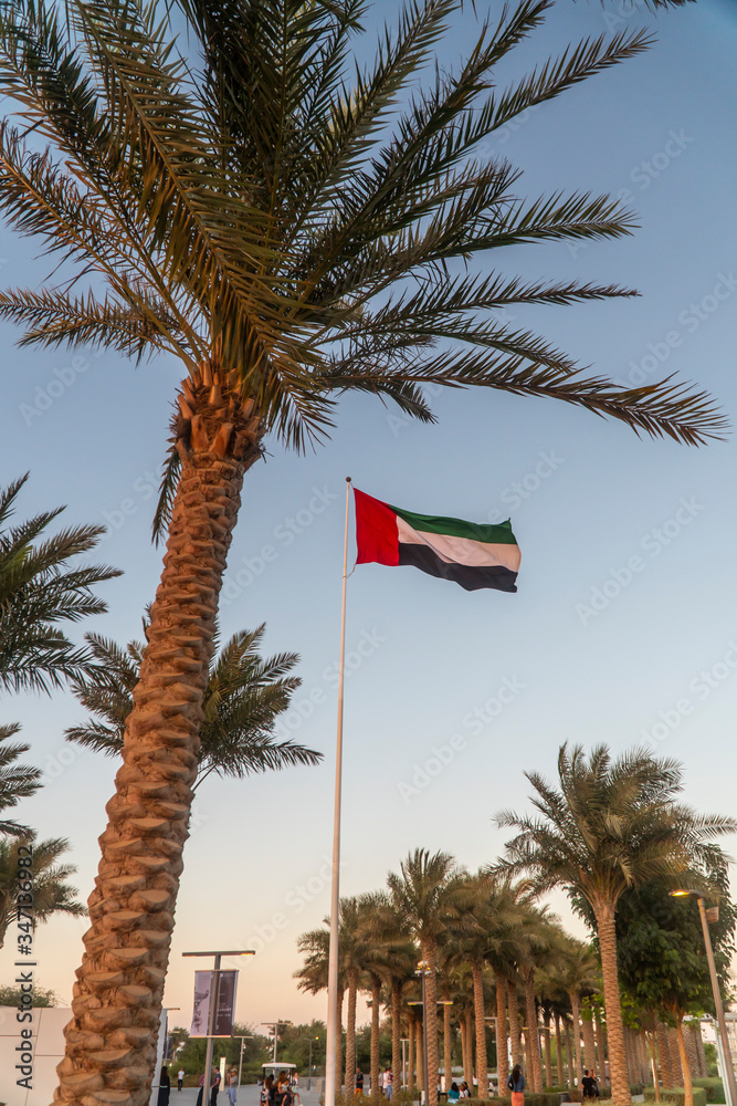 UAE Flag flying. Tropical Palm tree background. Holiday, vacation ...