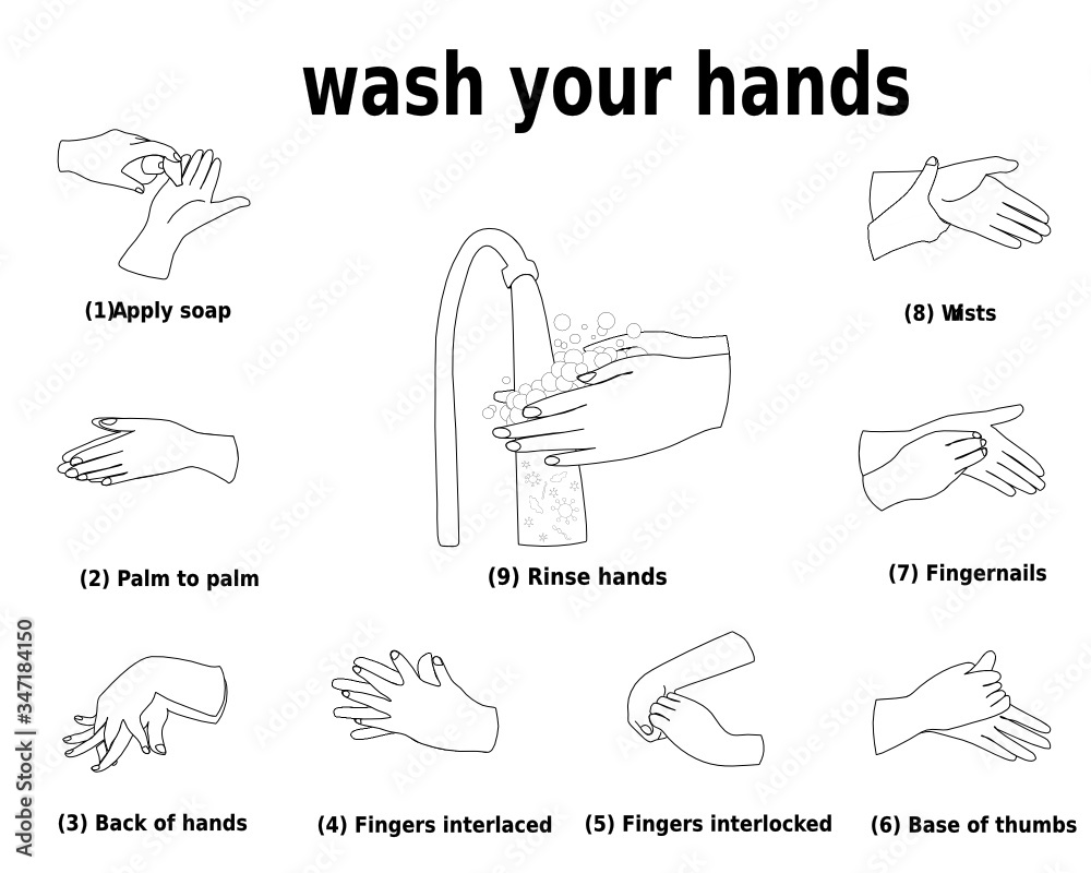How to wash your hands properly step by step. Personal hygiene ...