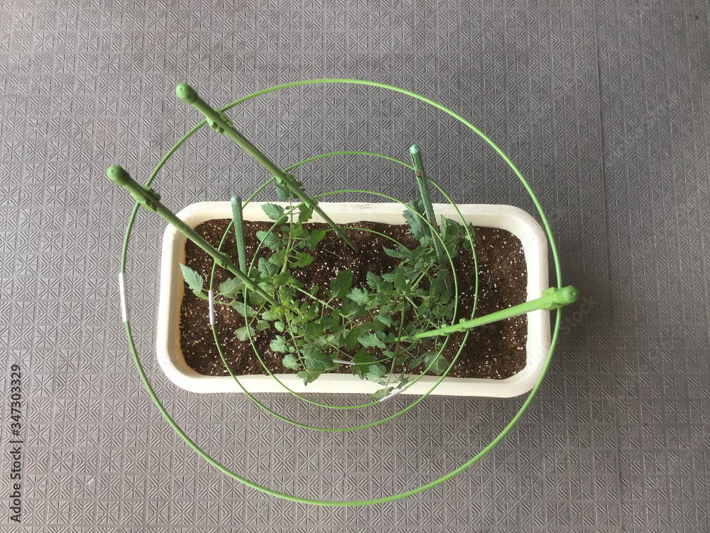 Mounting the pillars to fix the plant on the planter Stock Photo ...