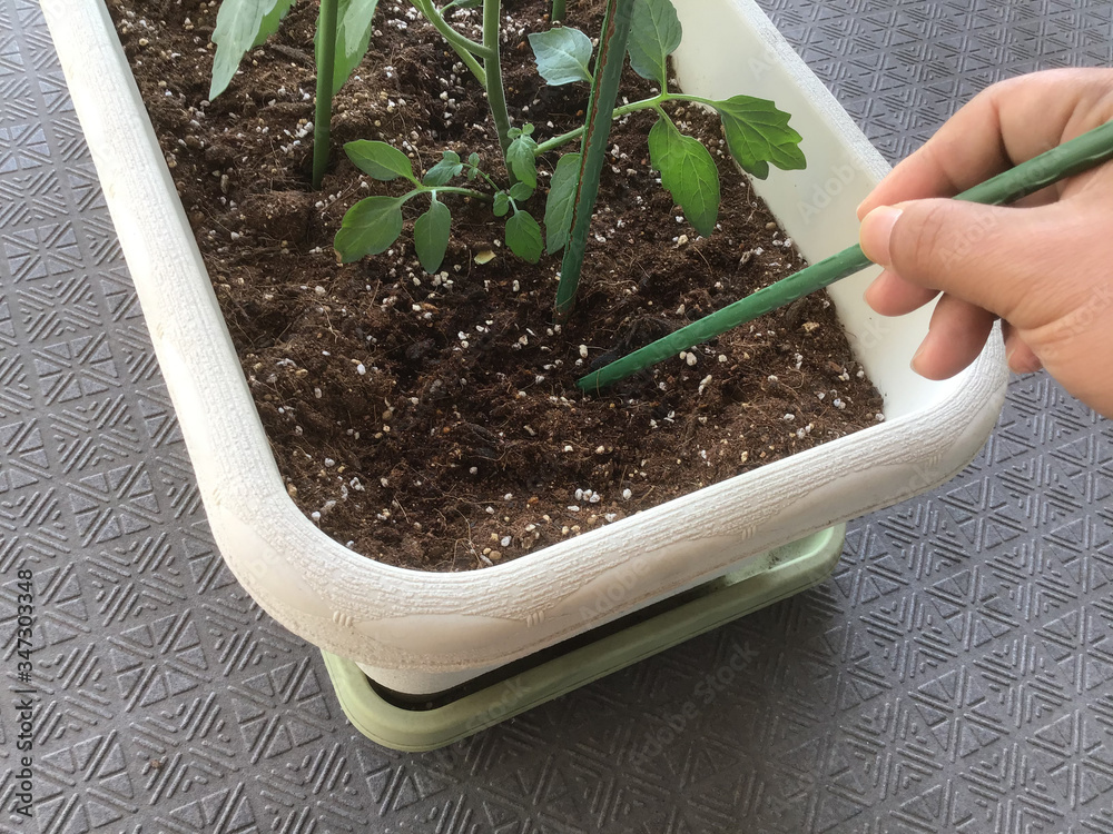 Mounting the pillars to fix the plant on the planter Stock Photo ...
