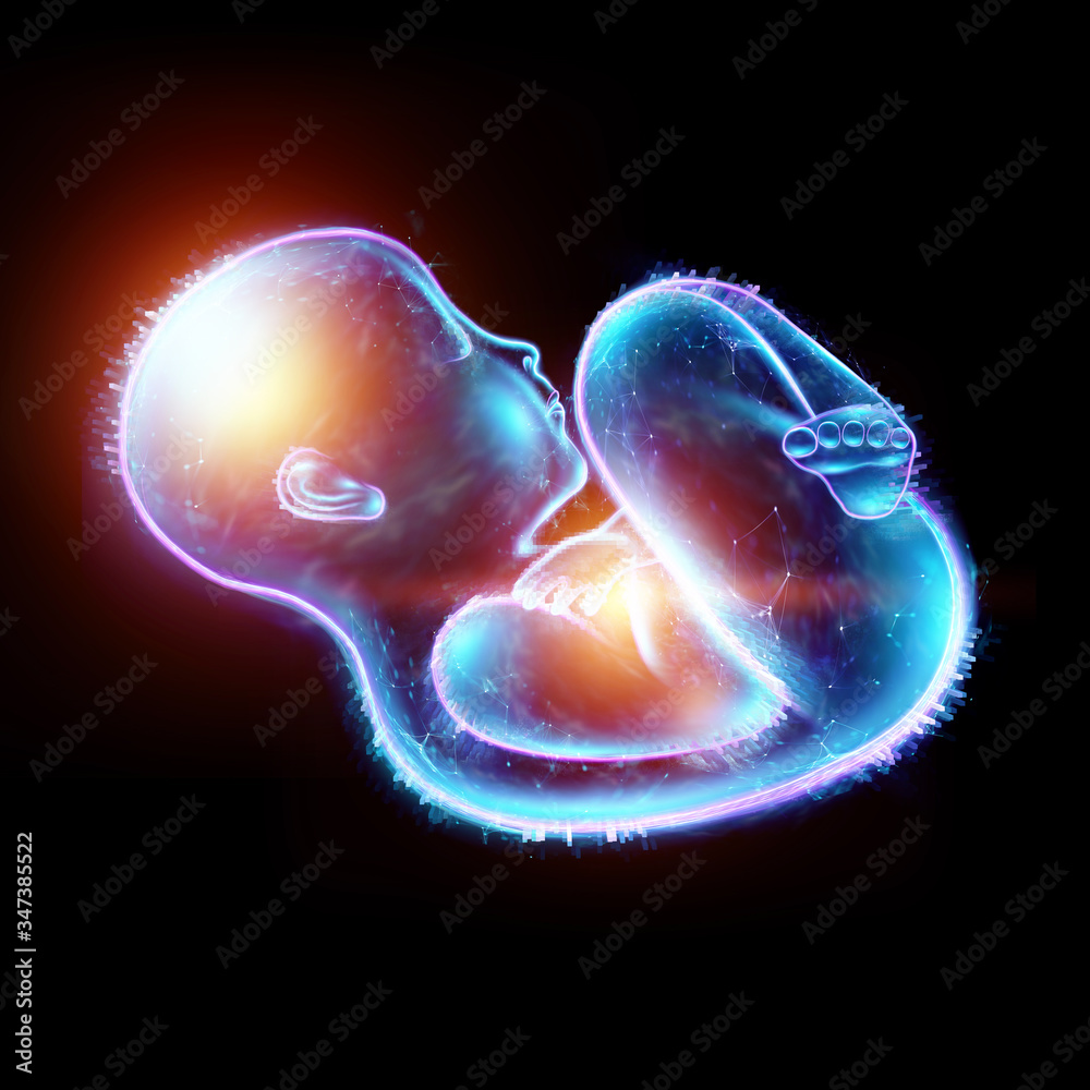 Infant, a child in a fetal position, an embryo, a hologram on a black ...