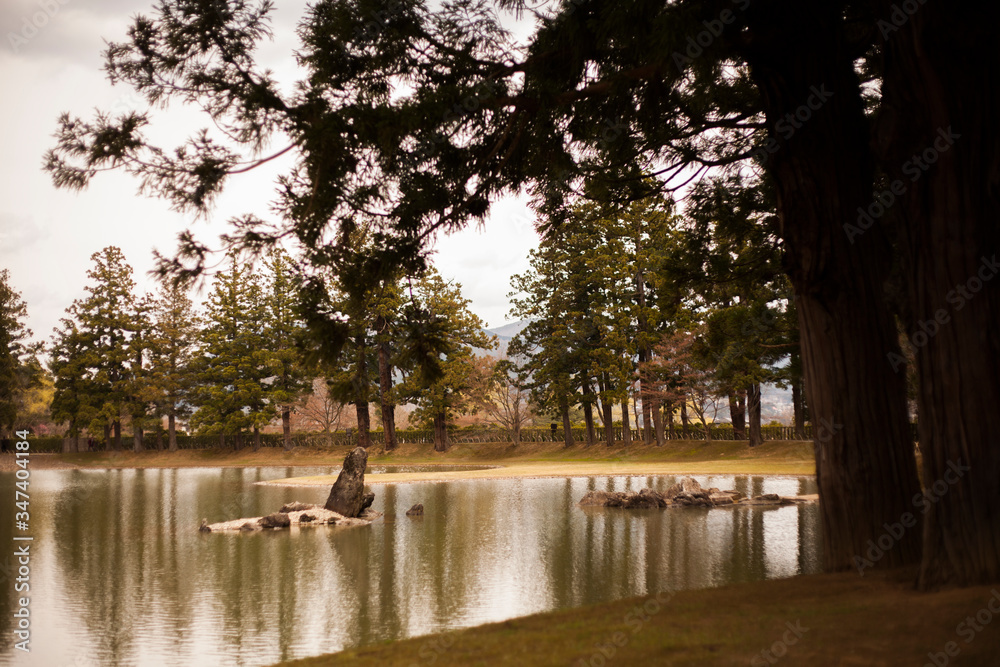 Reflection of trees in water in Japanese style garden Stock Photo ...