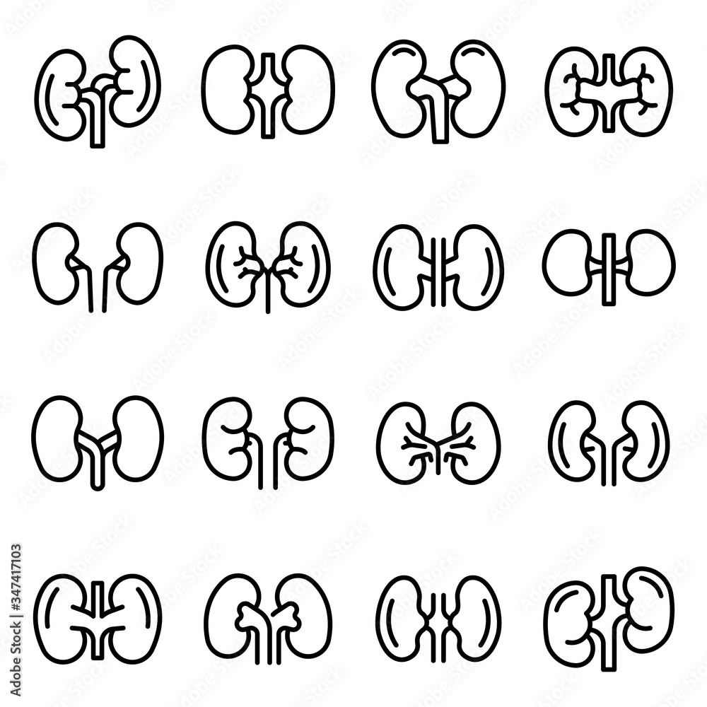 Kidney icons set. Outline set of kidney vector icons for web design ...