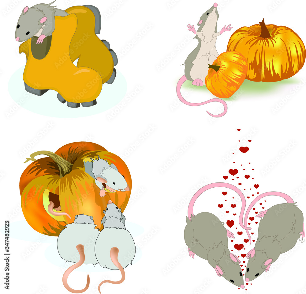 Vector image of a rat and its relationship with relatives. Set of four ...
