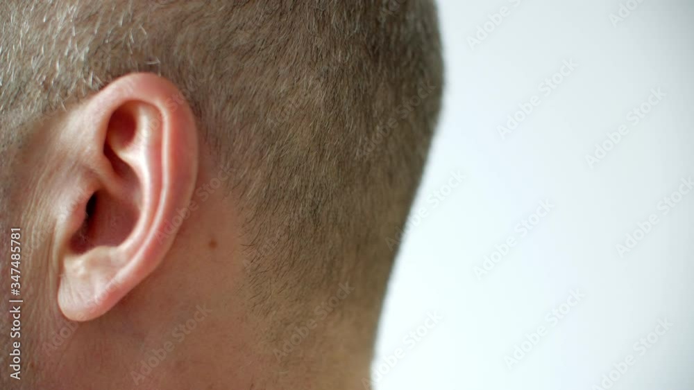 Male ear close up. Gray haired man temple and ear left side view. Human ...