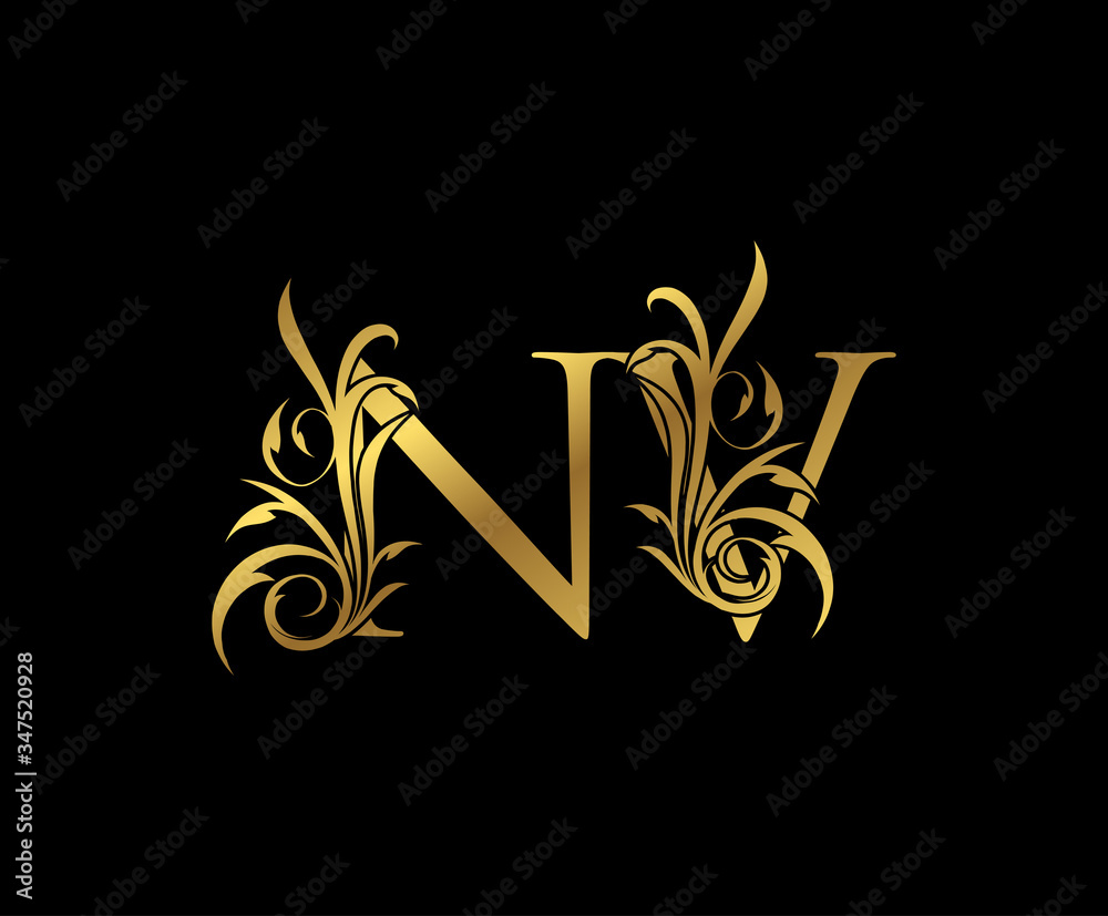 Luxury Gold N, V and NV Letter Classy Floral Logo Icon. Vintage drawn ...