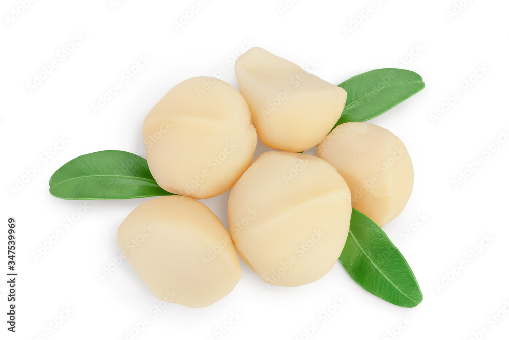 macadamia nuts isolated on white background with clipping path and full ...