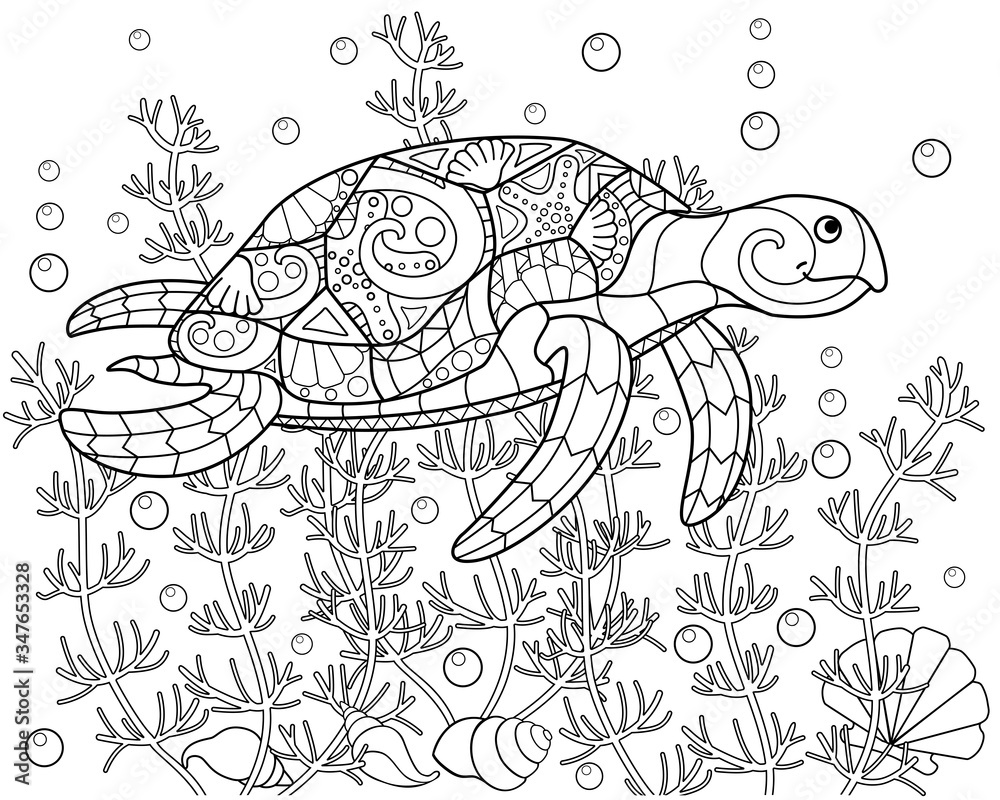 Turtle swimming among algae, shells and bulbs - vector linear ...