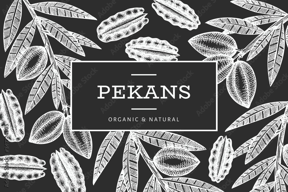 Hand drawn pecan branch and kernels design template. Organic food ...