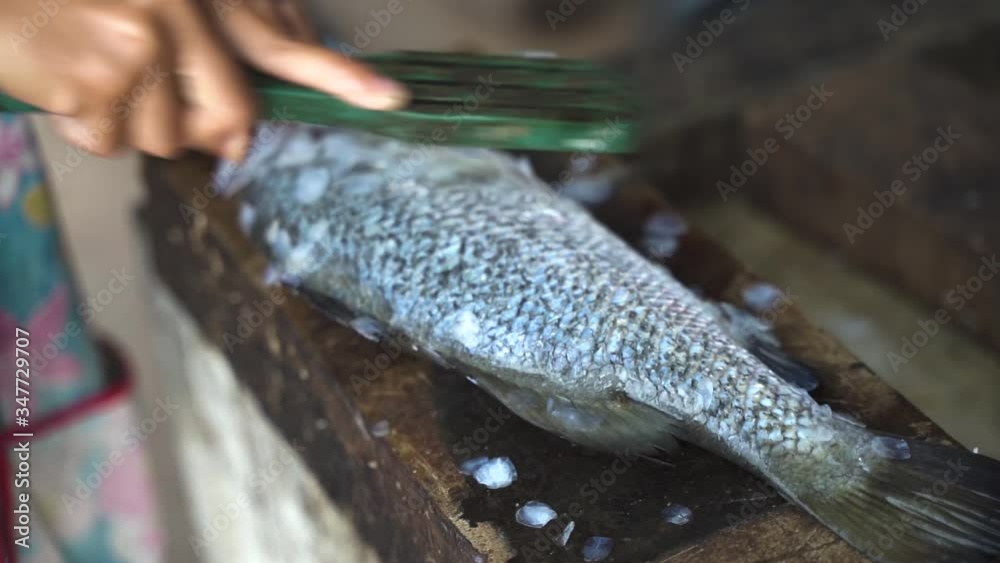 Cutting fish in market stalls Clean the inside of sea fish Self ...