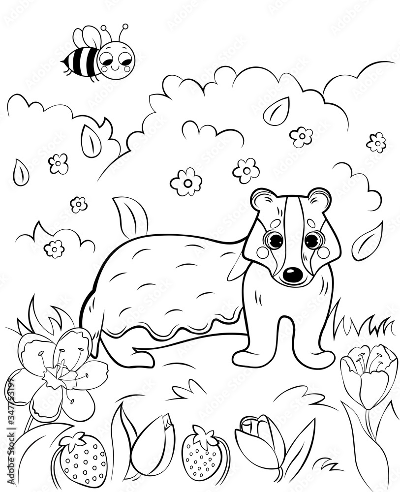 Coloring page outline of cute cartoon badger. Vector image with forest ...