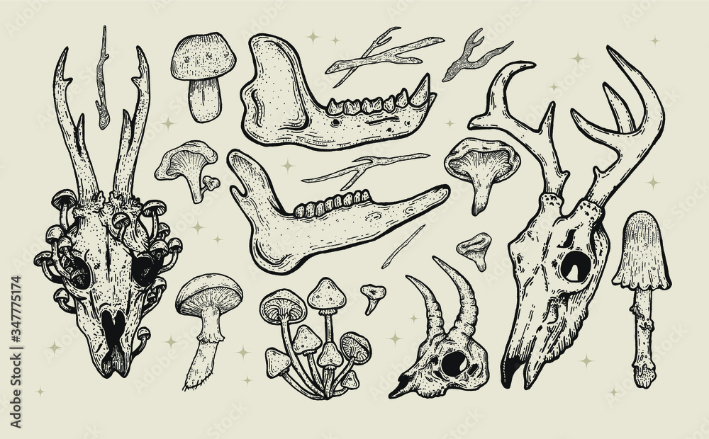 Nature Graphics And Clip Art