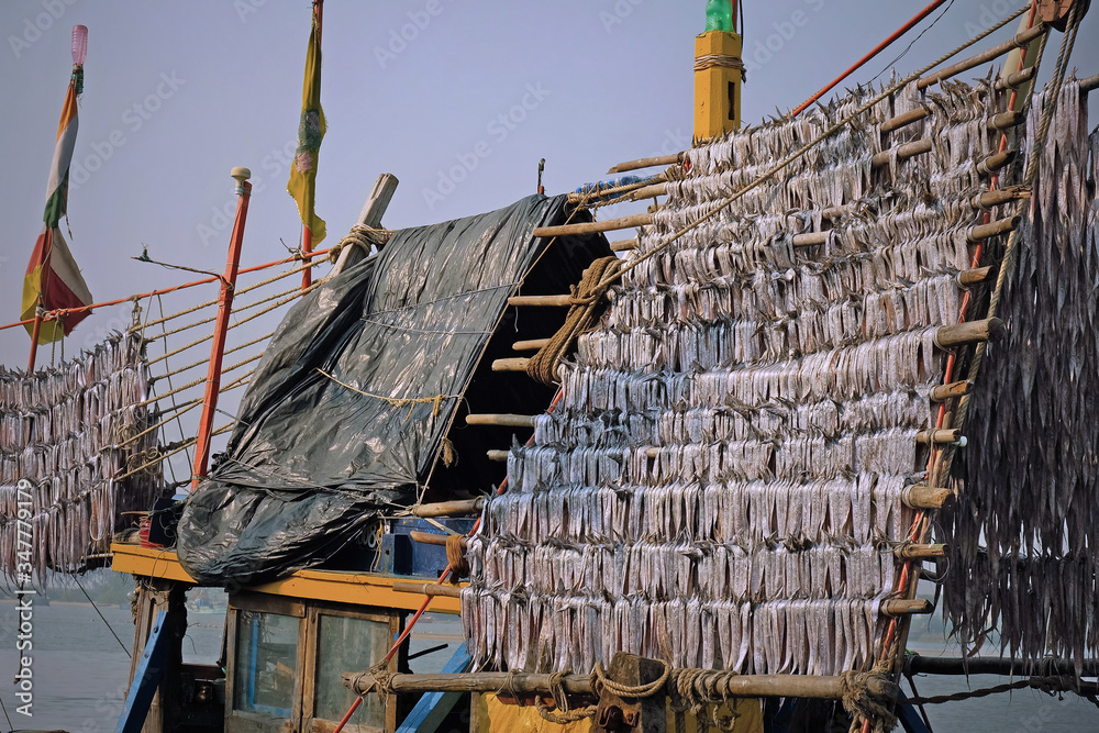 The catch made by a local boat being dried in the sun on racks before ...