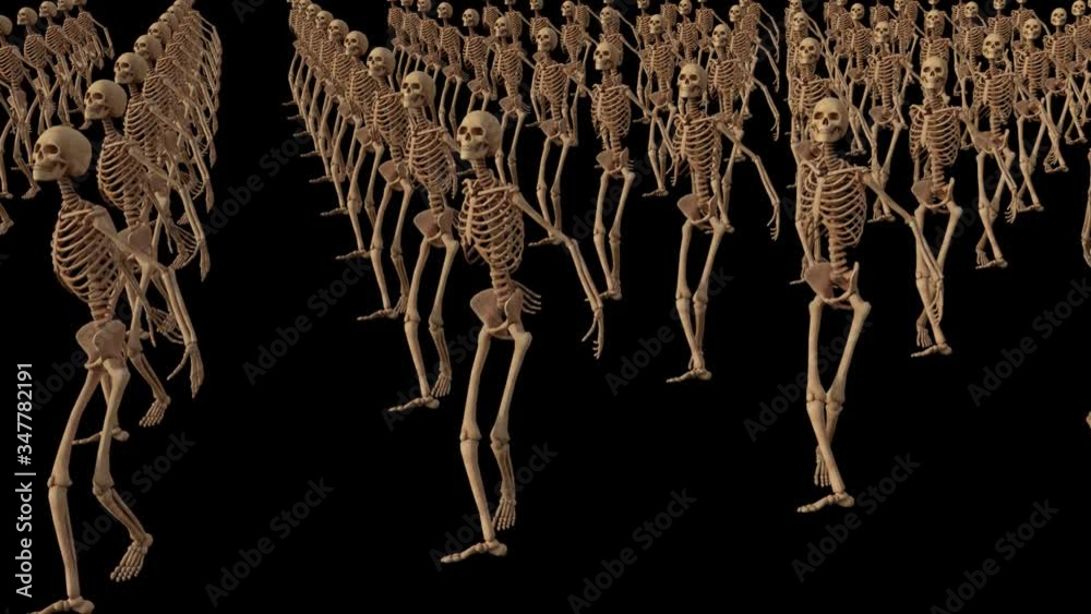 dancing skeleton skeletals, animation, transparent background, loop ...