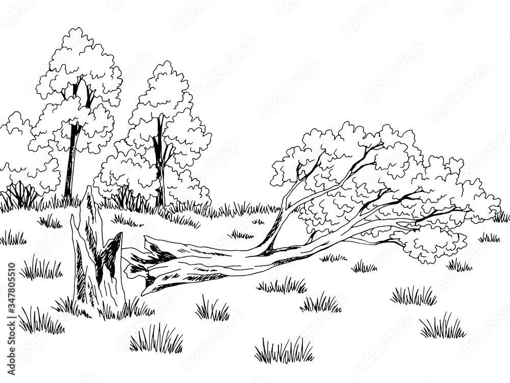 Broken tree graphic black white sketch illustration vector Stock Vector ...