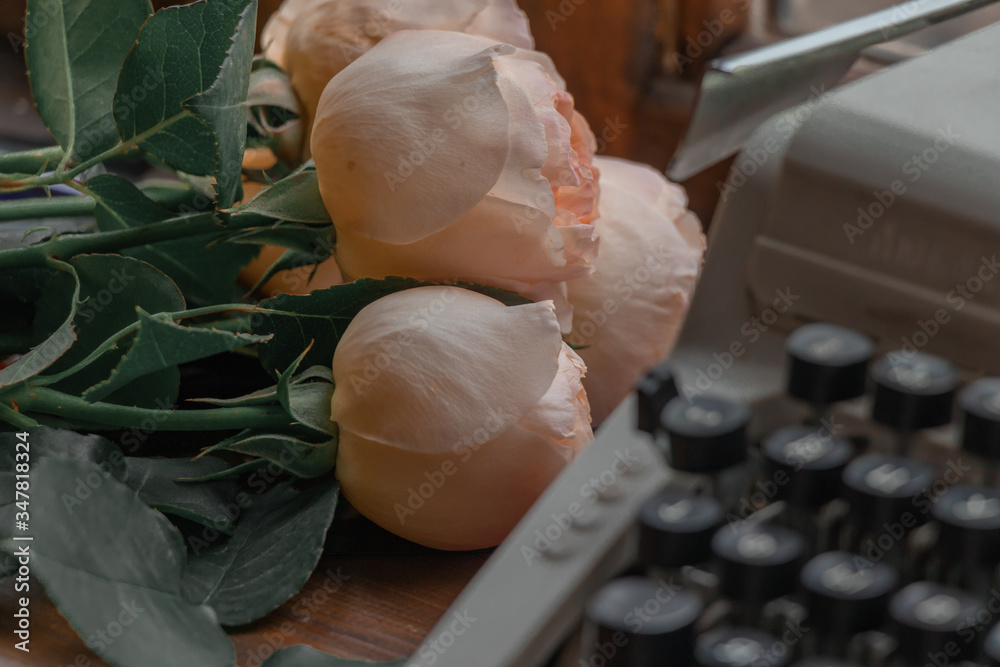 Photo & Art Print pink rose with a retro typing machine, Anna