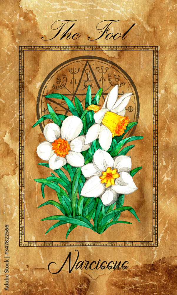 The Fool. Major Arcana tarot card with Narcissus and magic seal. Stock ...