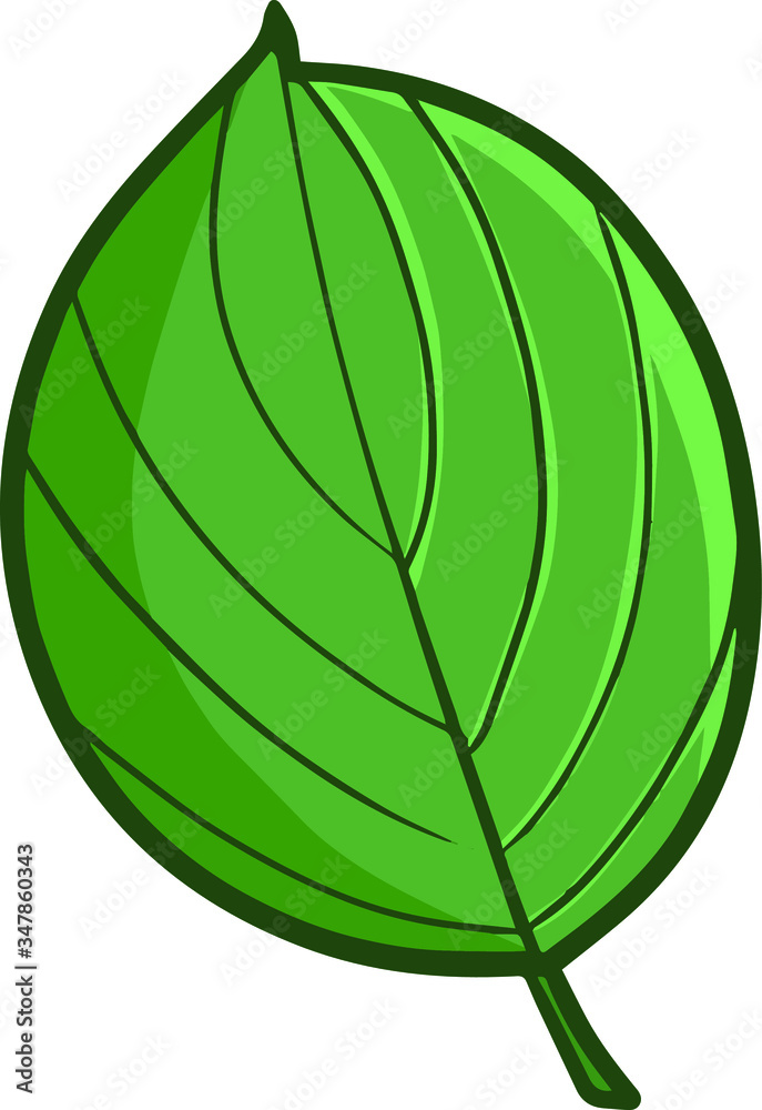 Cute and funny rounded leaf in simple cartoon style Stock Vector ...