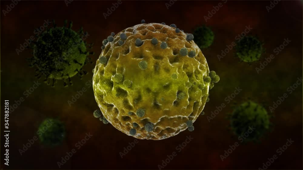 3D animation of the round virus and antibody attack, the work of the ...