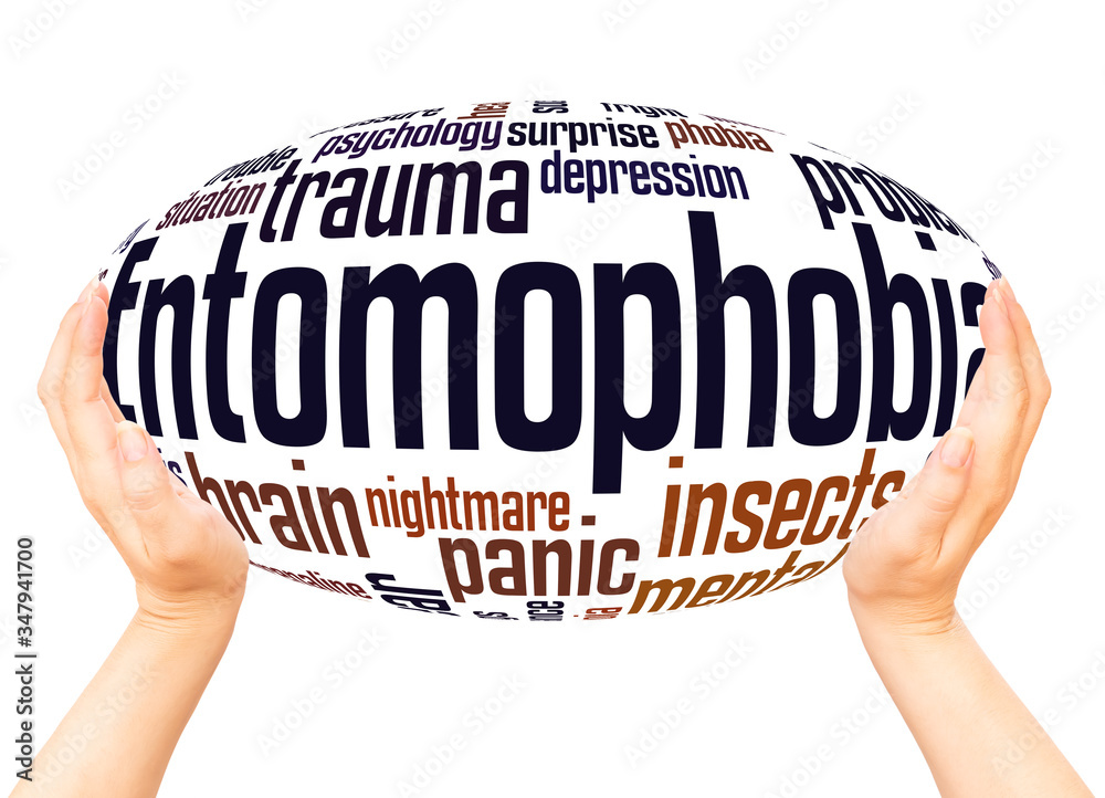 Entomophobia fear of insects word hand sphere cloud concept Stock ...