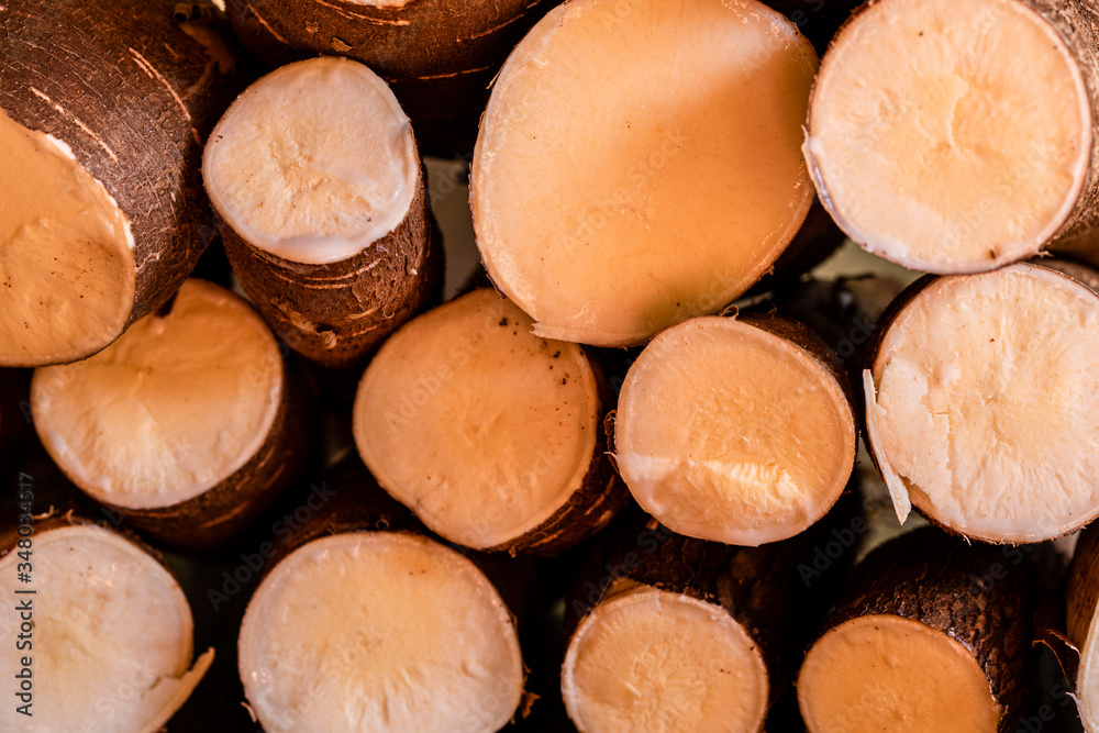 Cassava, also called manioc, yuca, balinghoy, mogo, mandioca, kamoteng ...