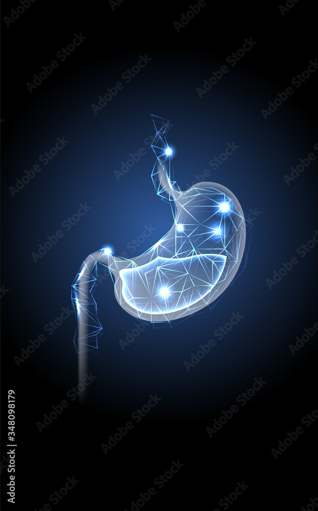 Healthy Human Stomach with acid digestive. Low poly wireframe style ...