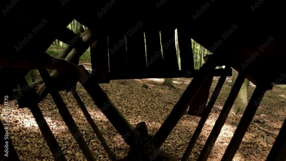 Empty deer hay rack in a middle of beech forest. Hayrack dolly out shot ...