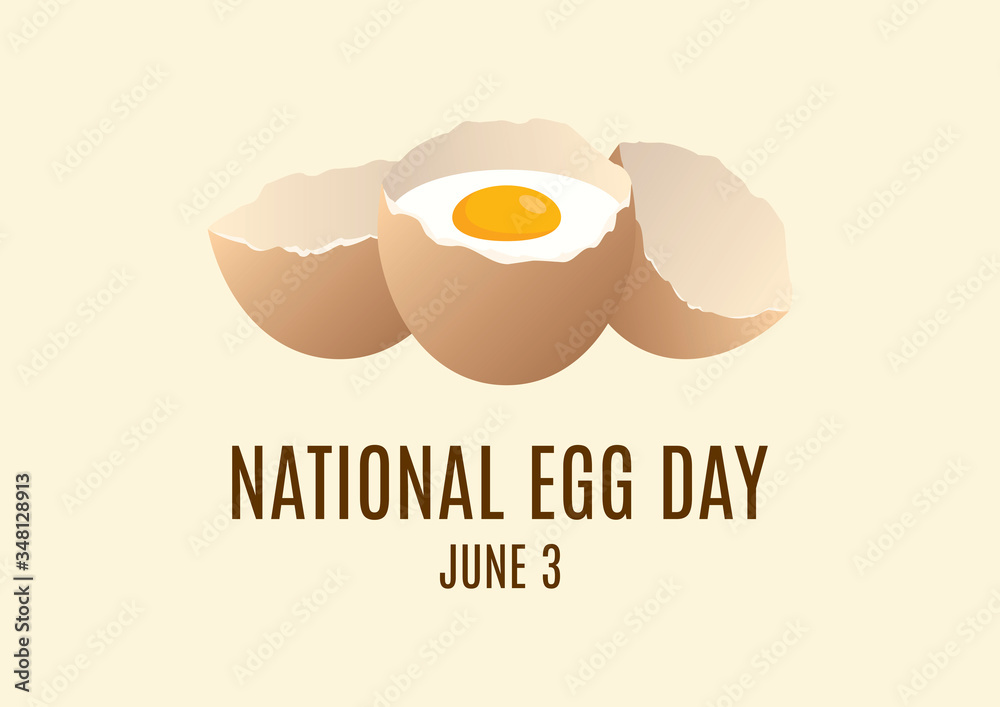 National Egg Day vector. Raw egg in shell vector. Egg icon vector ...